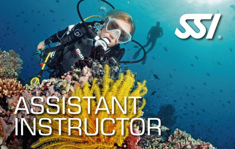 SSI Instructor Training Course » Become a diving instructor